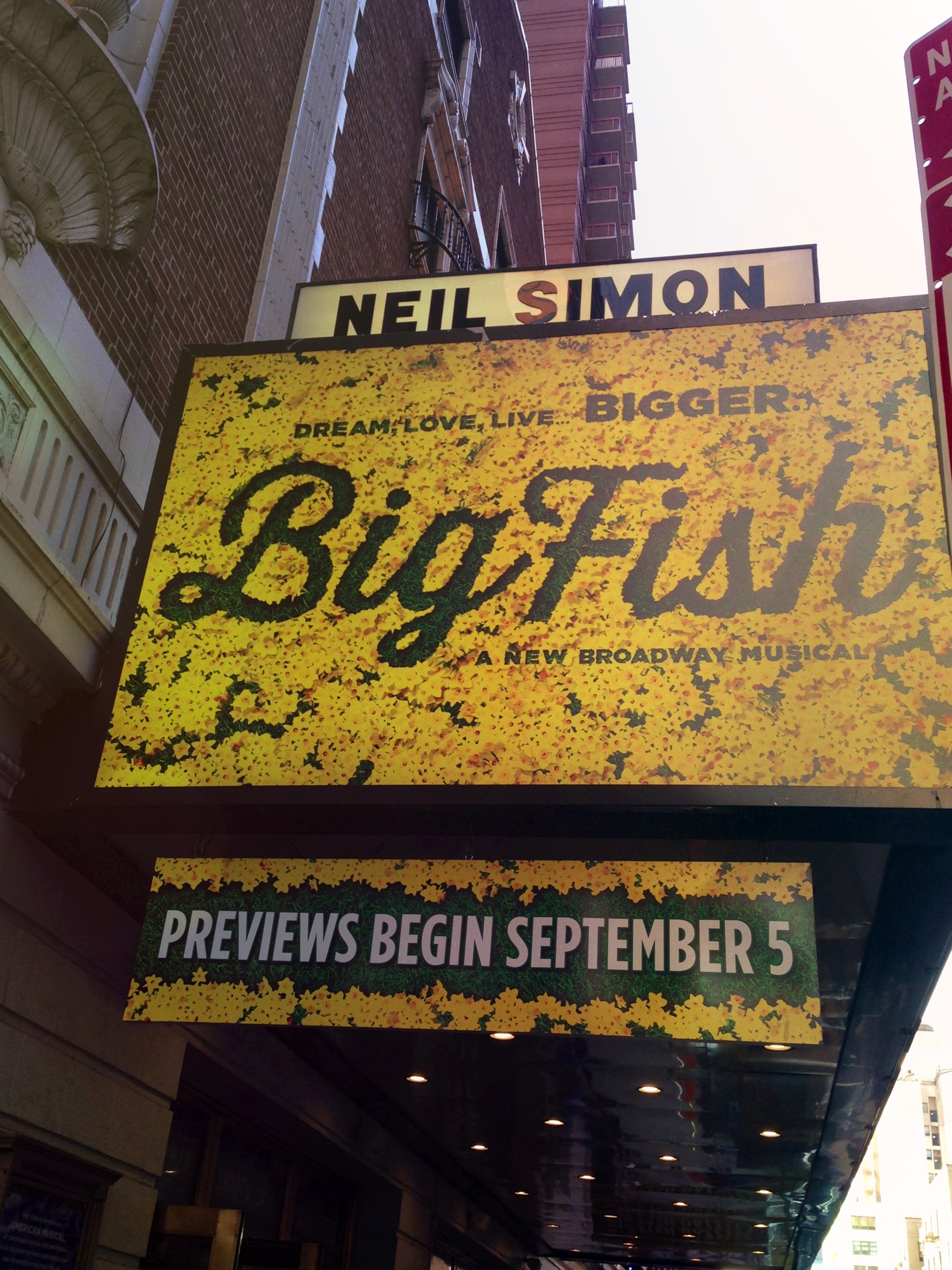 Seeing Big Fish on Broadway early